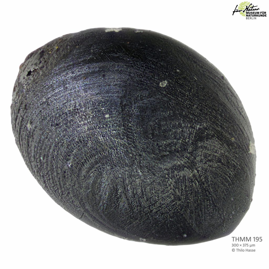 urban micrometeorite database • Urbane Mikrometeorite