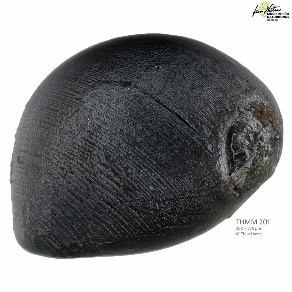 urban micrometeorite database • Urbane Mikrometeorite