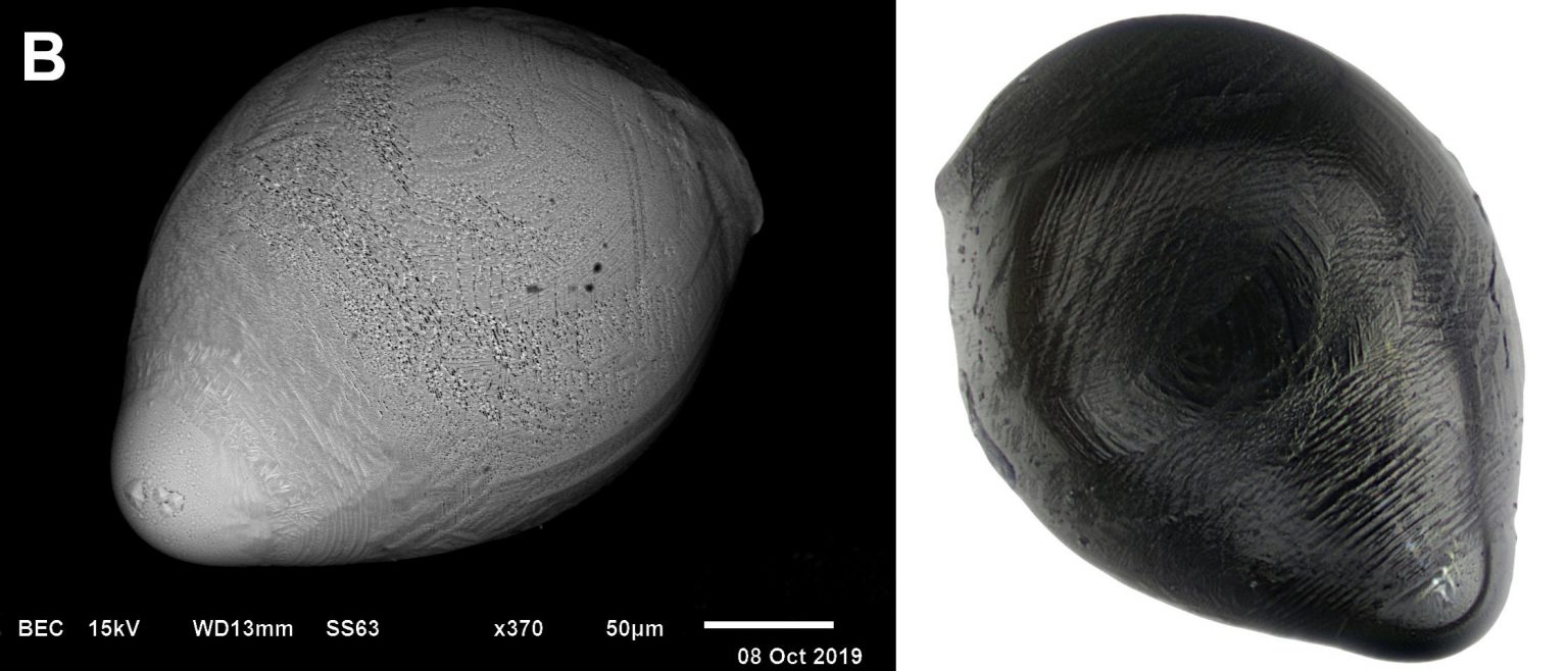Klassifikation: Cryptocrystalline (CC) – Urbane Mikrometeorite