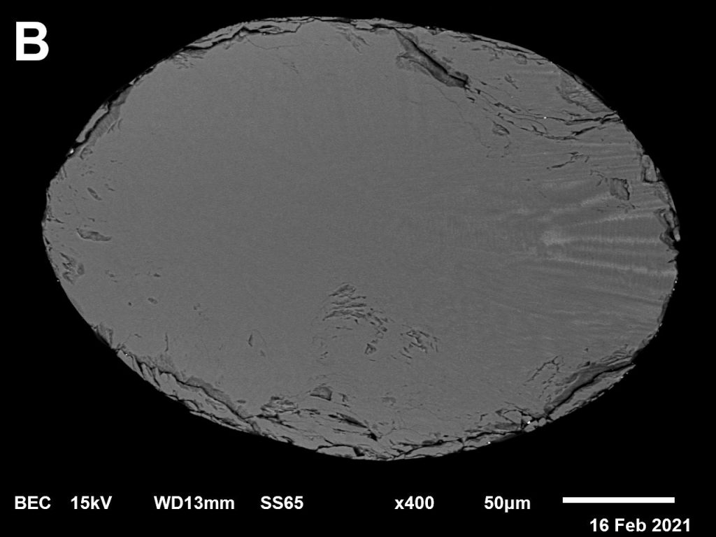 Klassifikation: Cryptocrystalline (CC) – Urbane Mikrometeorite